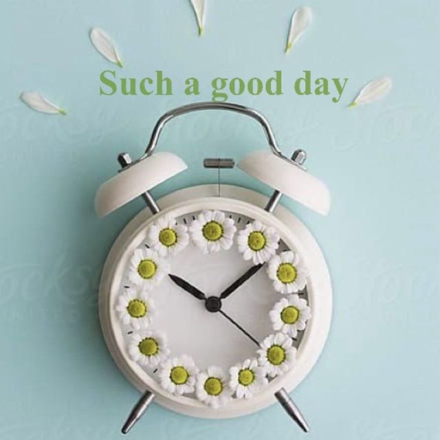 such a good day, ร้านค้าออนไลน์ | Shopee Thailand