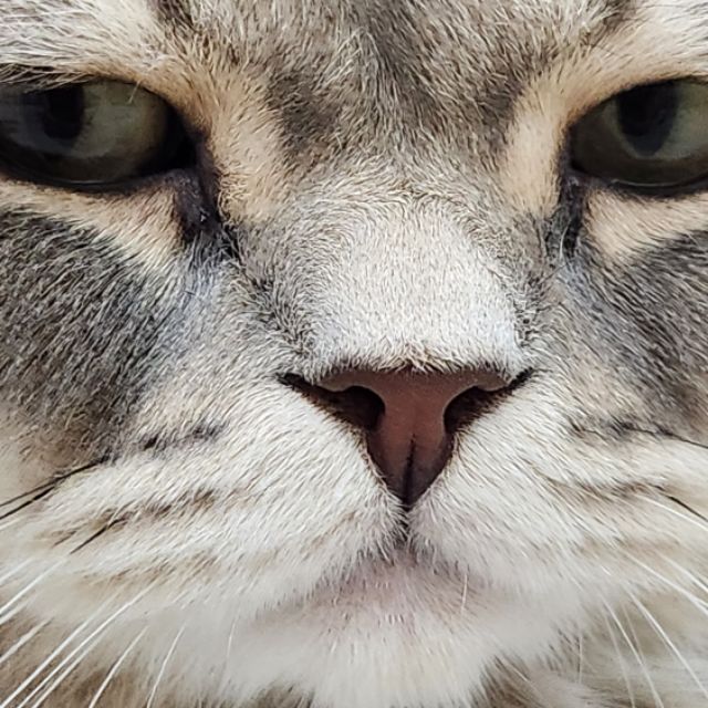 Numpun perfume, ร้านค้าออนไลน์ | Shopee Thailand