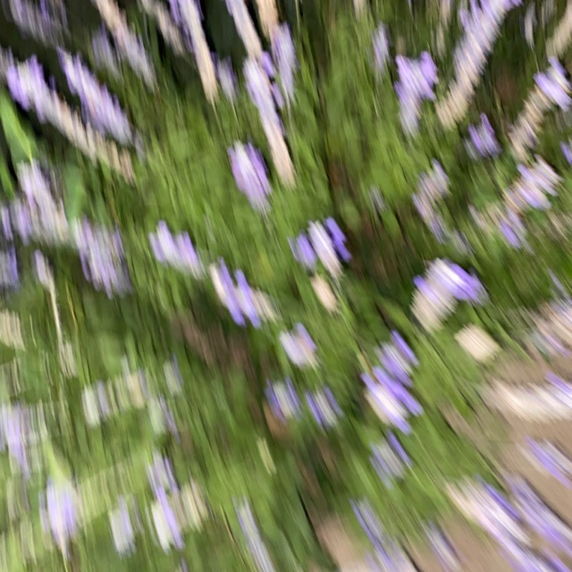 Leenn_official, ร้านค้าออนไลน์ | Shopee Thailand