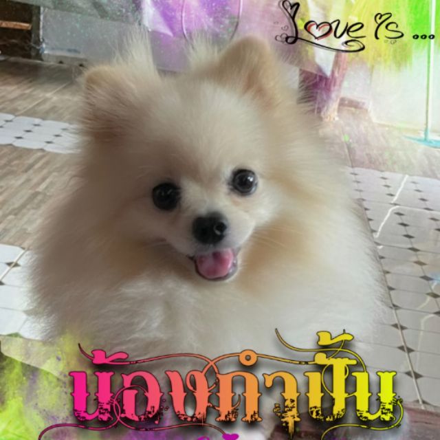 sepsep, ร้านค้าออนไลน์ | Shopee Thailand