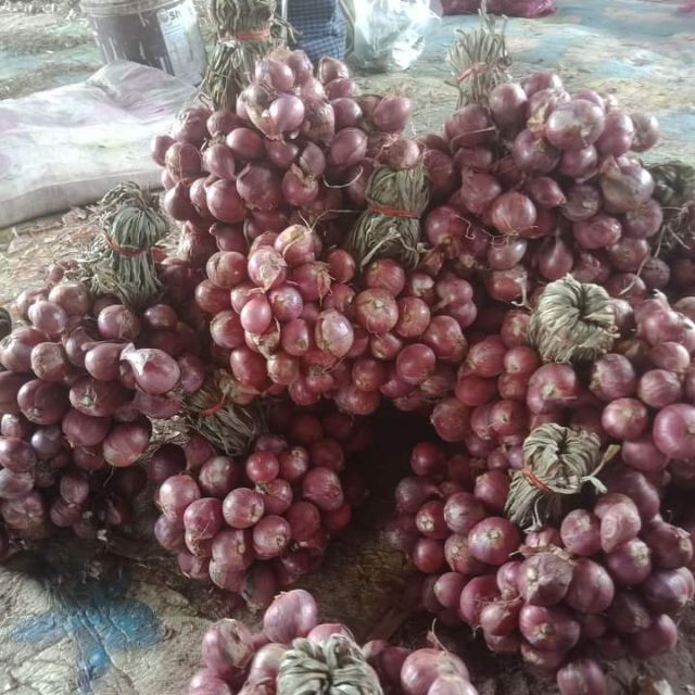 SA Sunisa 0937516628, ร้านค้าออนไลน์ | Shopee Thailand