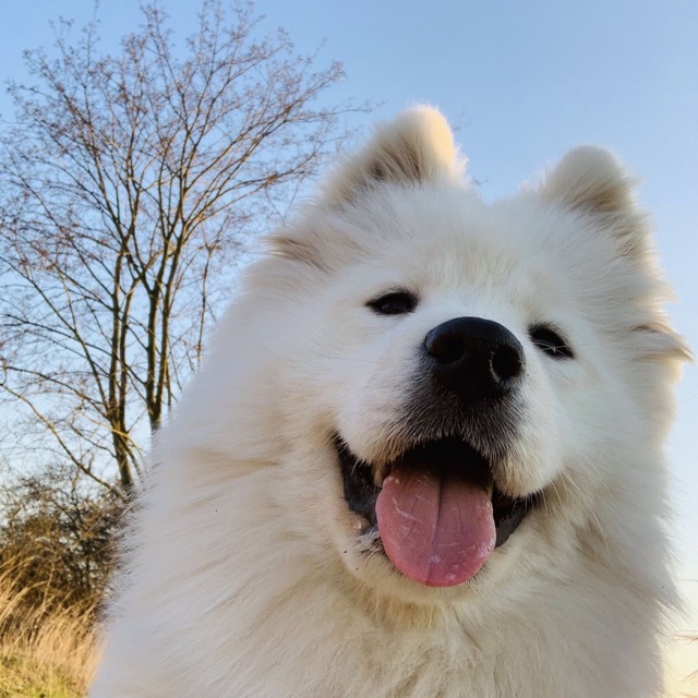 Mini Mosca, ร้านค้าออนไลน์ | Shopee Thailand