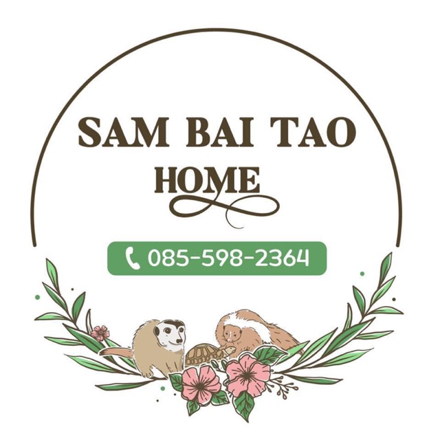 Sam Bai Tao Shop, ร้านค้าออนไลน์ | Shopee Thailand
