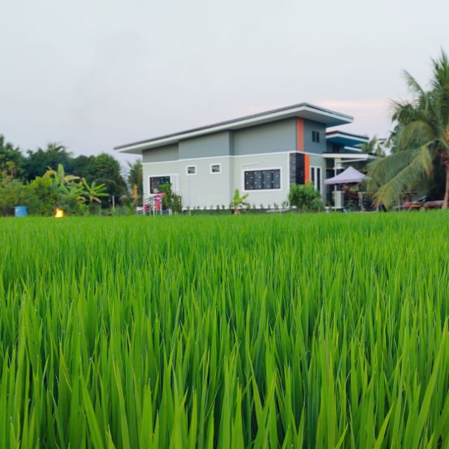 Thai computer shop, ร้านค้าออนไลน์ | Shopee Thailand