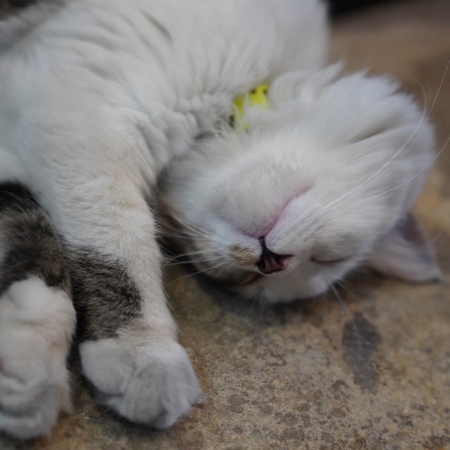 JS Electronics, ร้านค้าออนไลน์ | Shopee Thailand