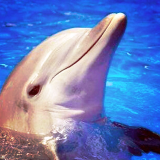 Belleone, ร้านค้าออนไลน์ | Shopee Thailand