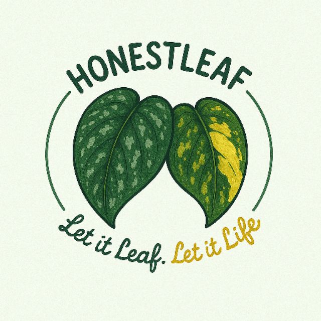 Honest Leaf🌈, ร้านค้าออนไลน์ | Shopee Thailand