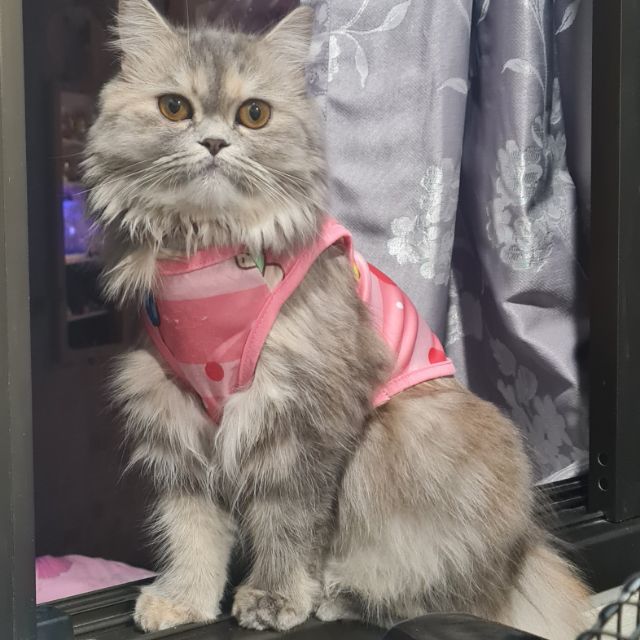 M&D shop., ร้านค้าออนไลน์ | Shopee Thailand