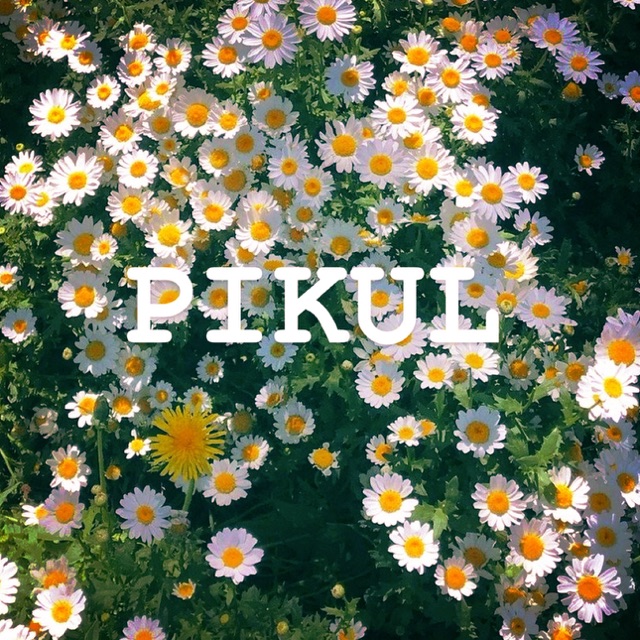 pikul.studios, ร้านค้าออนไลน์ | Shopee Thailand