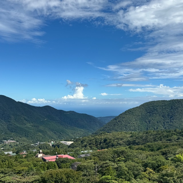 KIM Butcher, ร้านค้าออนไลน์ | Shopee Thailand