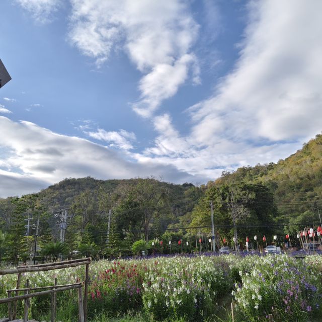 veesee, ร้านค้าออนไลน์ | Shopee Thailand