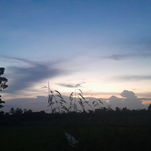 kengkeng shop, ร้านค้าออนไลน์ | Shopee Thailand