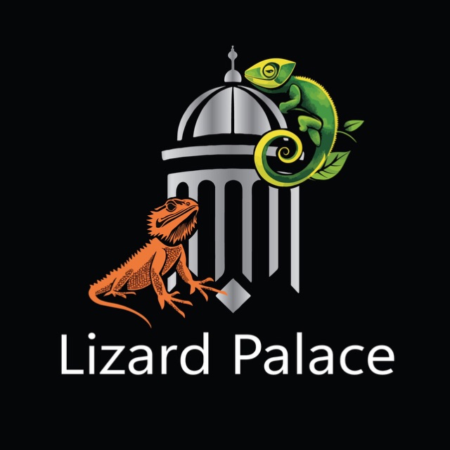 lizard.palace, ร้านค้าออนไลน์ | Shopee Thailand